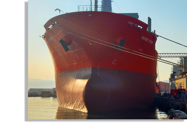 Home - VANTAGE Shipping Lines S.A.